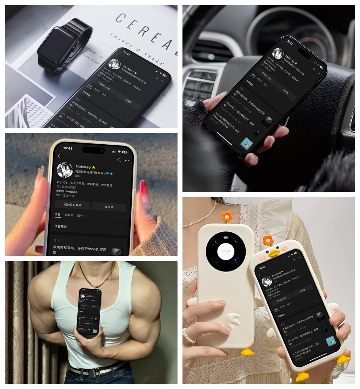 iPhone截图带壳APP下载，含截图模板-Netskao